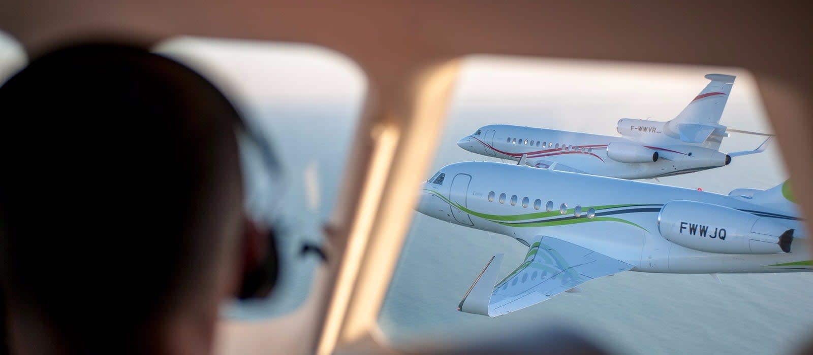 Discover every detail of the full Falcon family