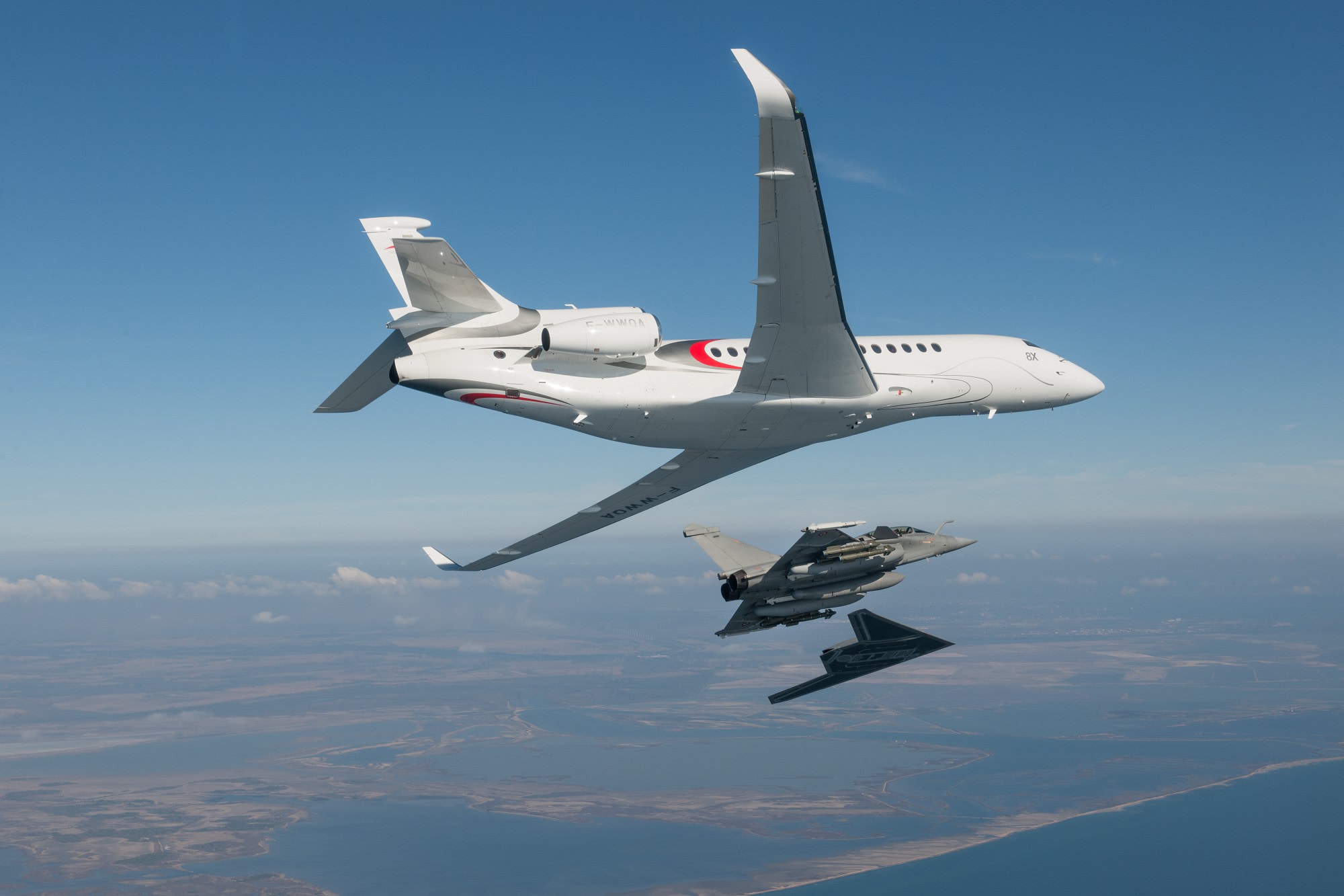 Falcon philosophy profile