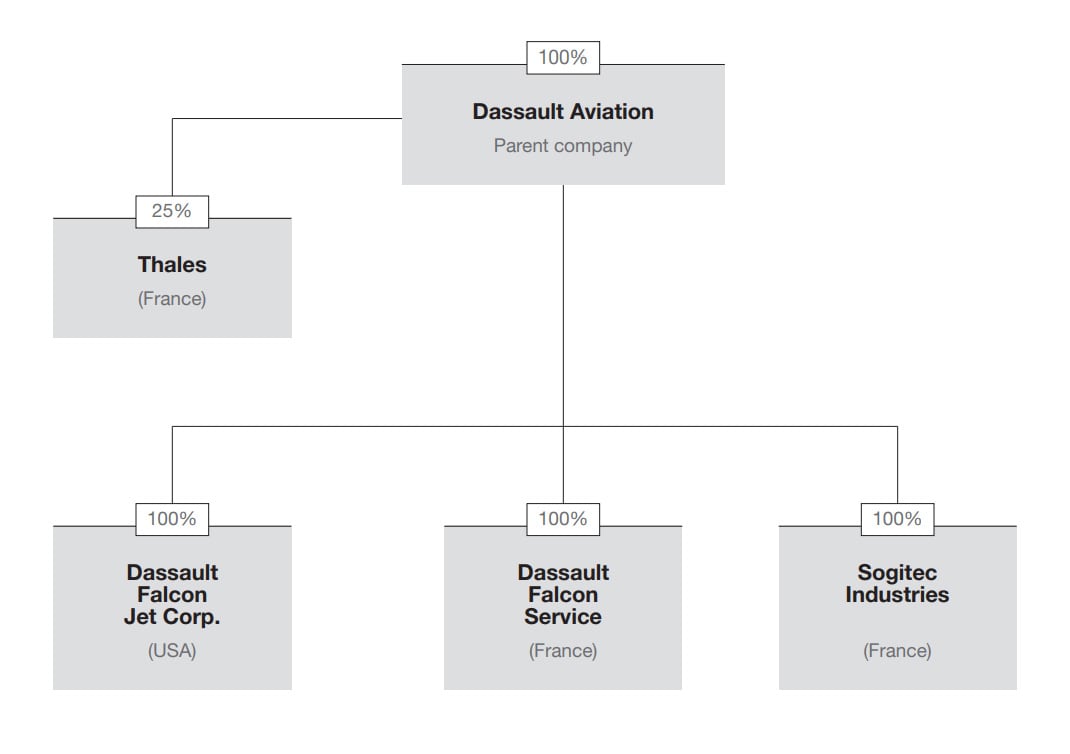 Shareholding Structure and Organization Chart